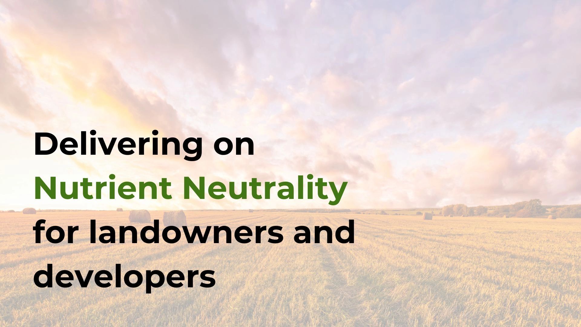 Greenshank - Nutrient Neutrality, Nutrient Credits